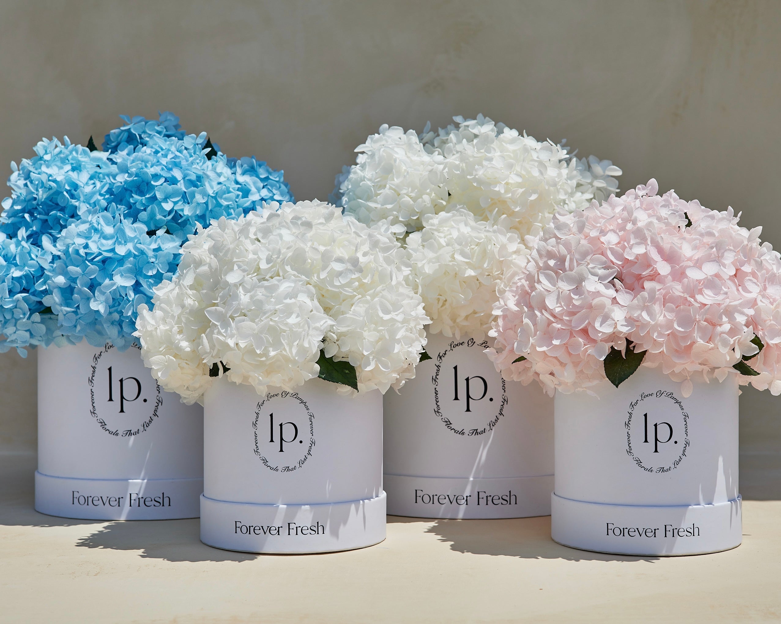 Luxury Preserved Hydrangeas – For Love Of Pampas