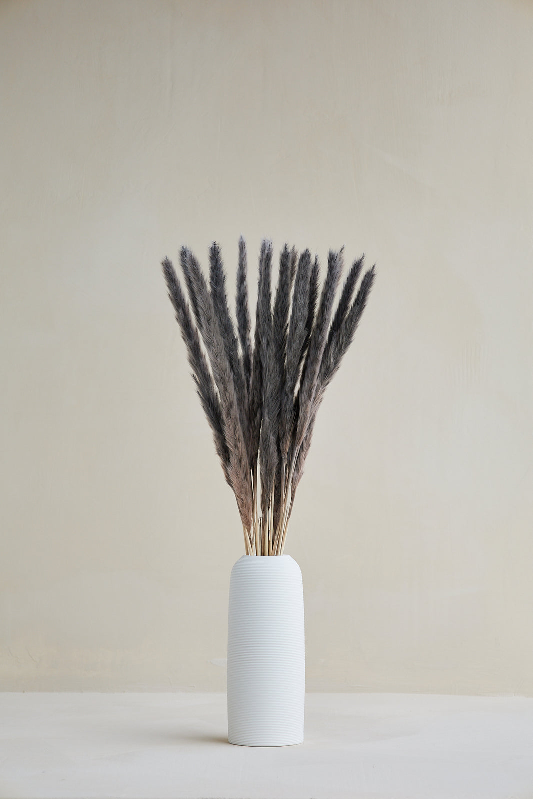 Pampas & Grasses – For Love Of Pampas